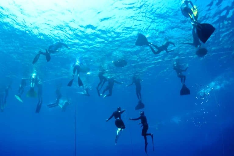 Training | Apnoetauchen-lernen.de